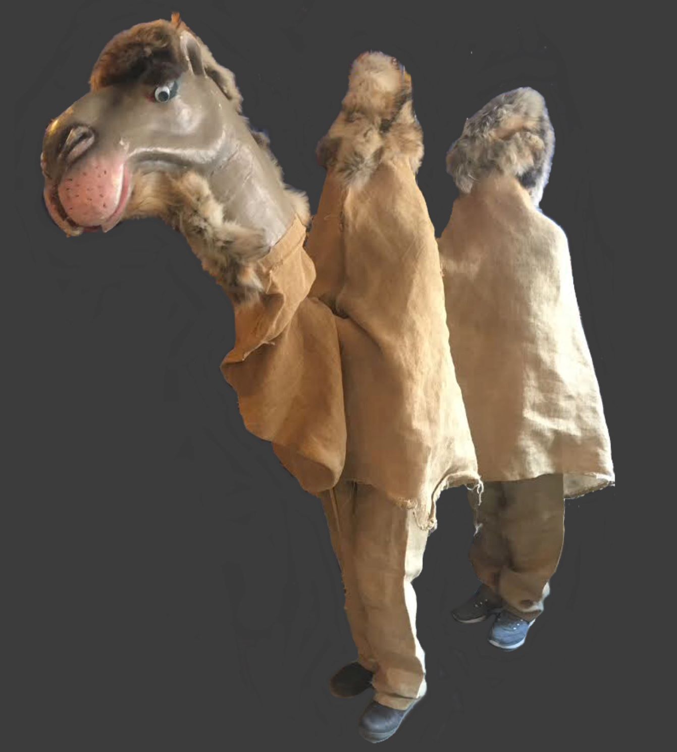 Sjovt Kamel Kostume til 2 Personer - Temafester og Karneval